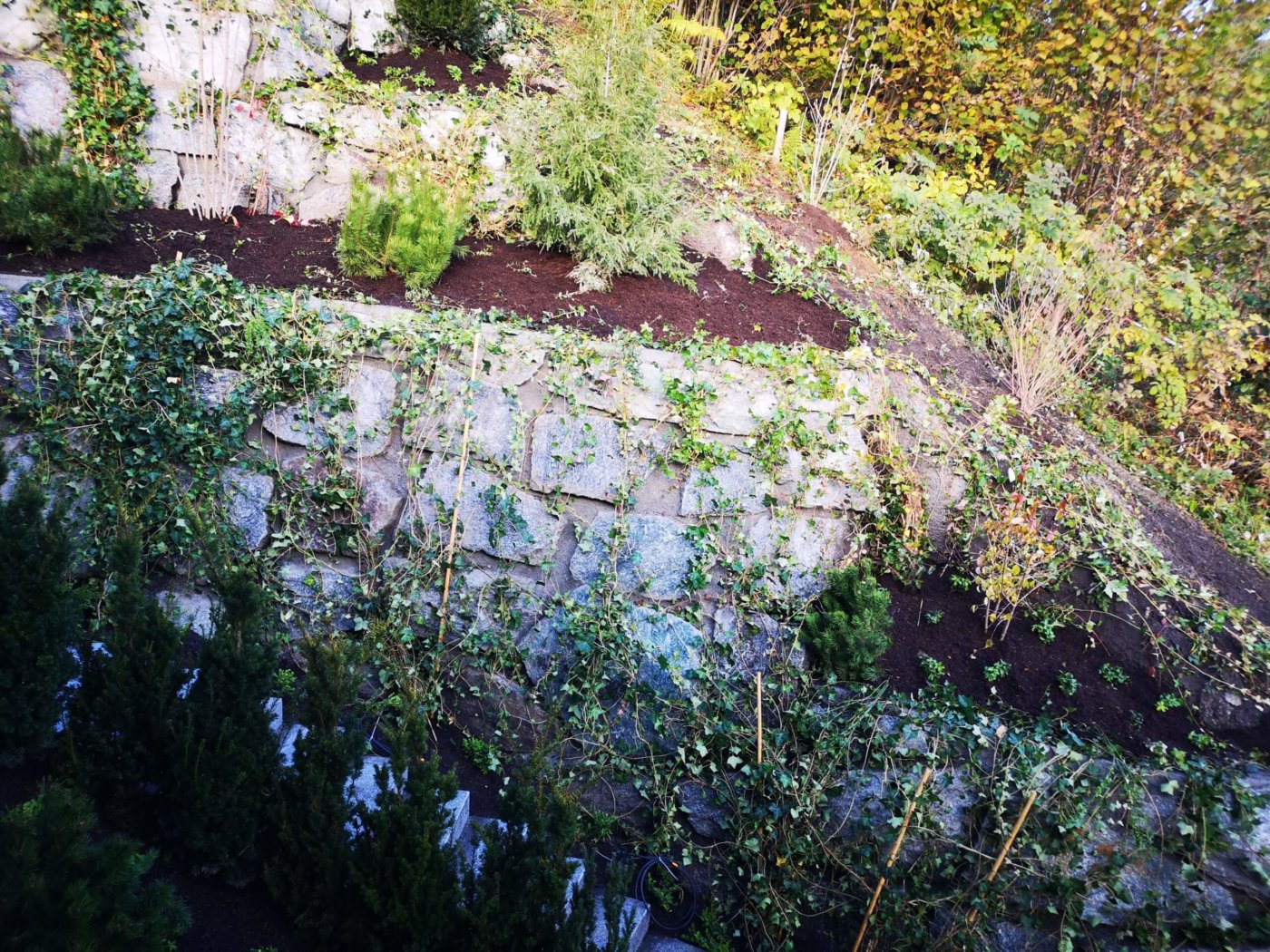 Die Verwandlung einer Spritzbetonwand - Grünraumplaner